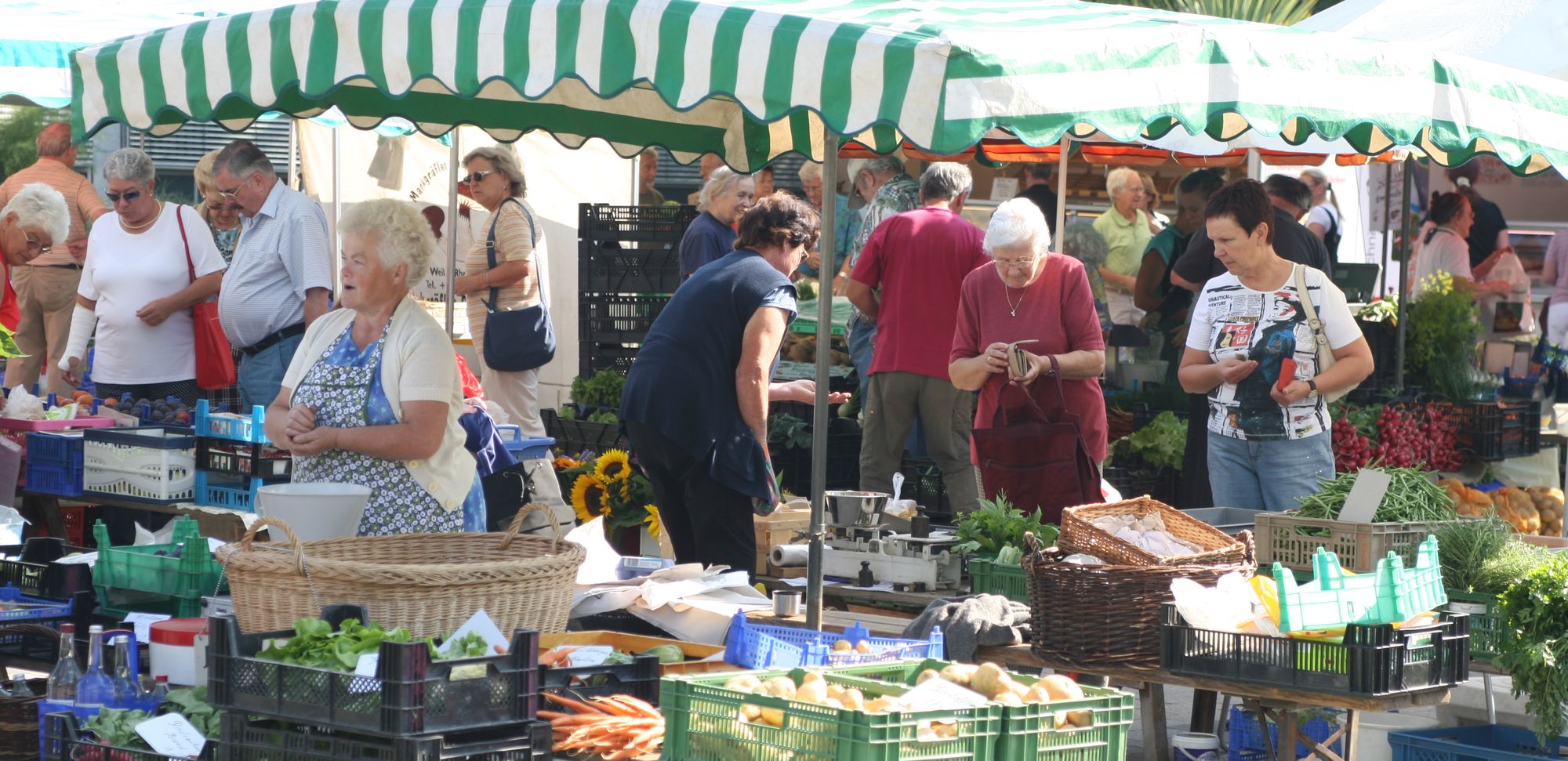 Startseite | Weil am Rhein