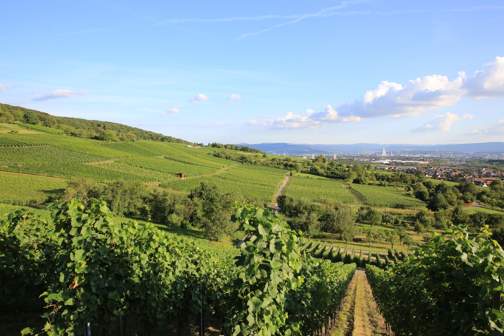 Startseite | Weil am Rhein | Weil am Rhein